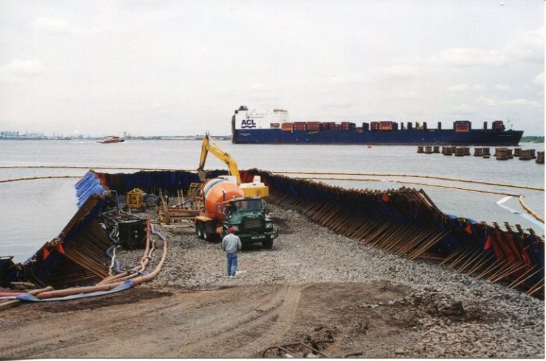 Celebrating 50 for 50 | Portadam