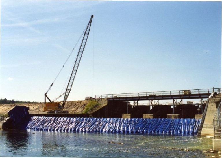 Celebrating 50 for 50 | Portadam